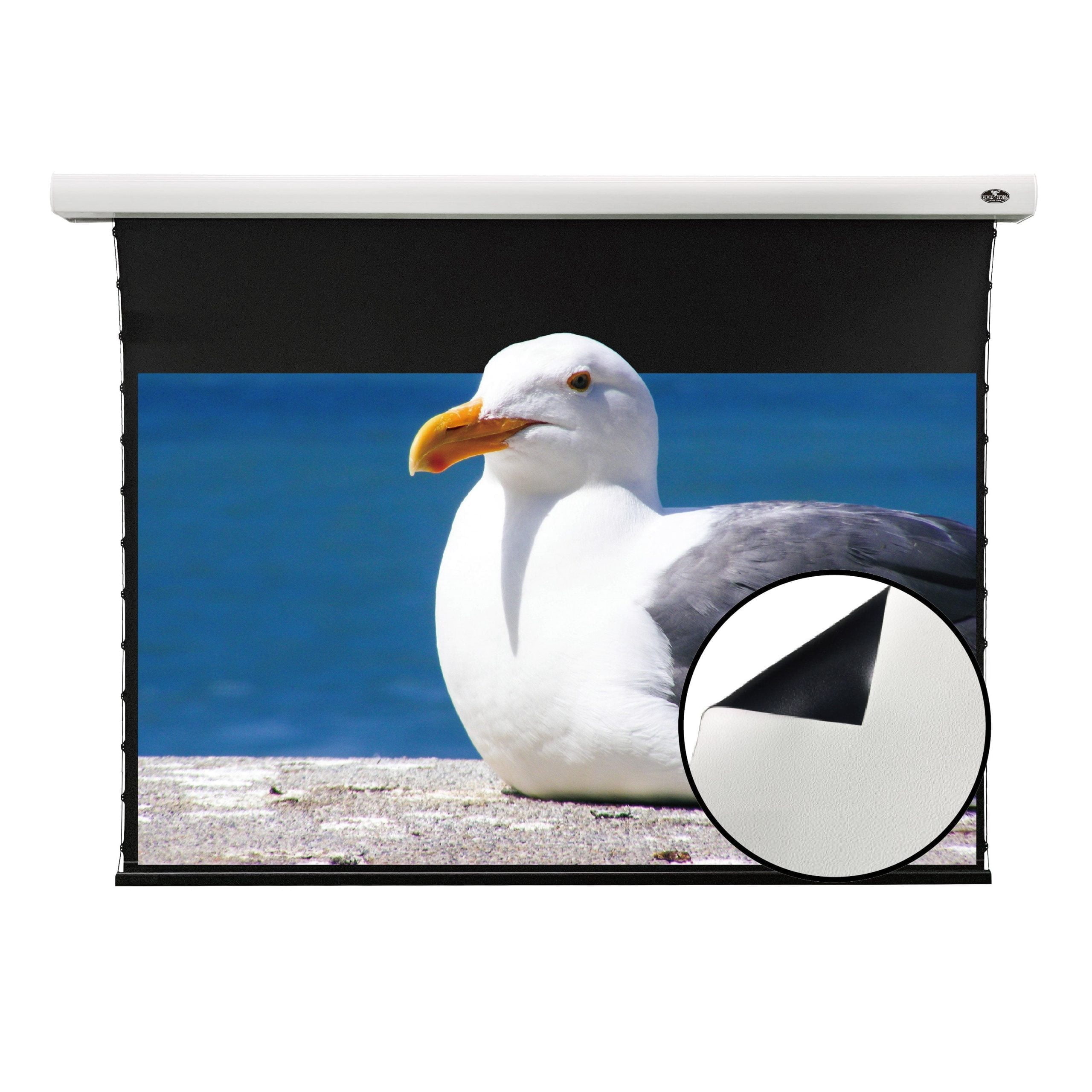 Slimline Drop Down Tension Screen (With White Cinema Material) (For ...